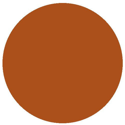 RailMatch 2404 Light Rust 18ml Acrylic Paint – Jadlam Toys & Models